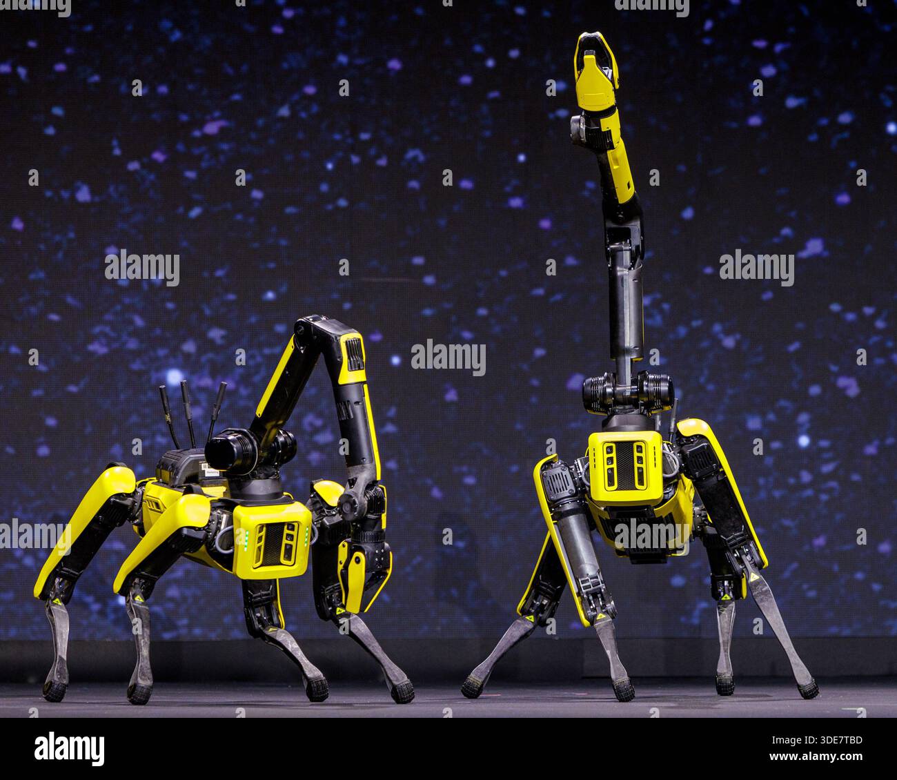 Boston Dynamics robots at the Hyundai presentation during Media Days at ...