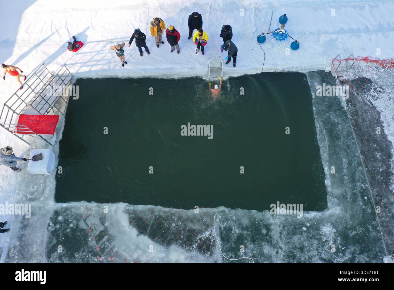 Winter swimming enthusiasts dive into the Songhua River in Harbin City ...
