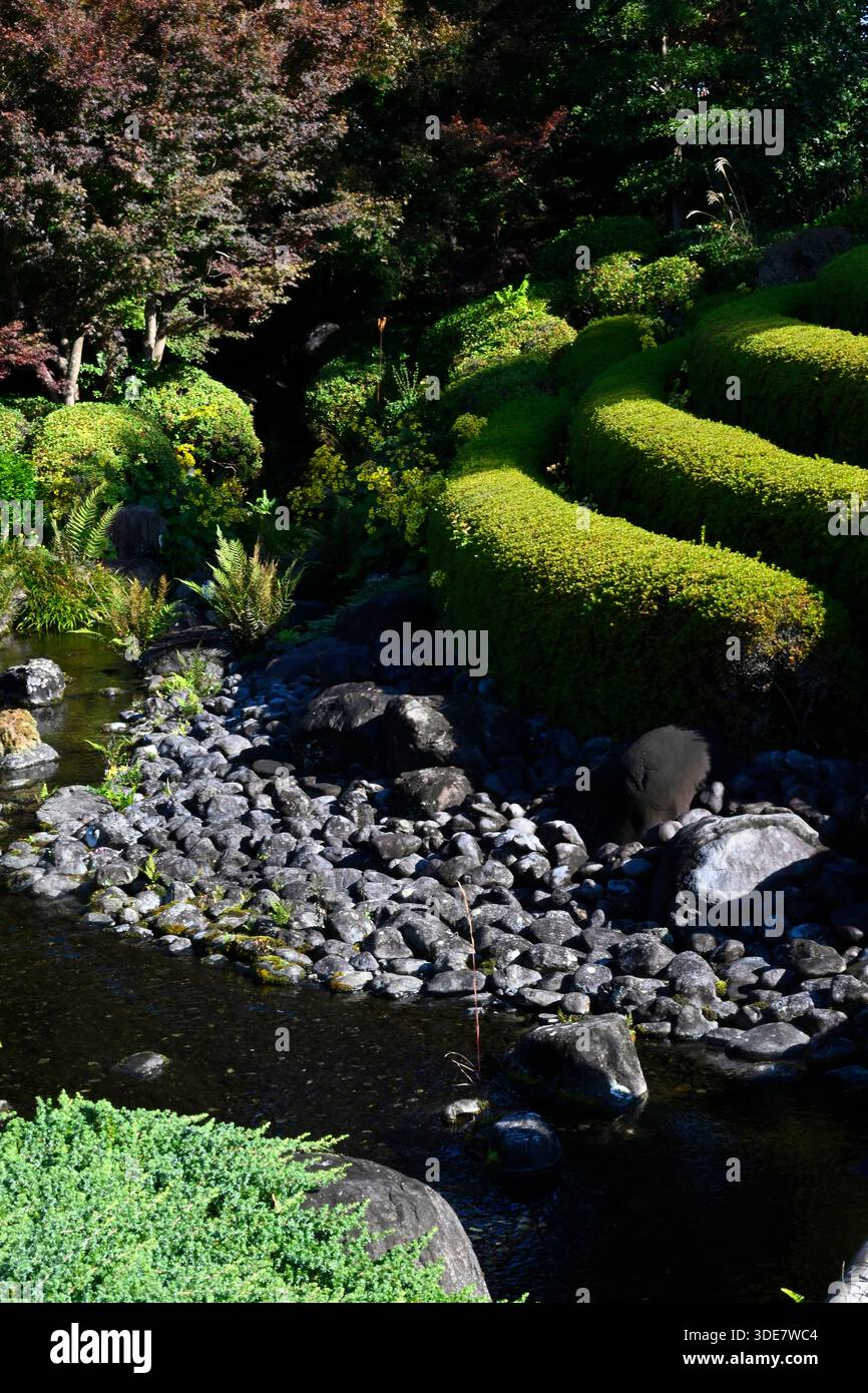 Momijiyama garden in the northeastern part of Sumpu-park in downtown ...