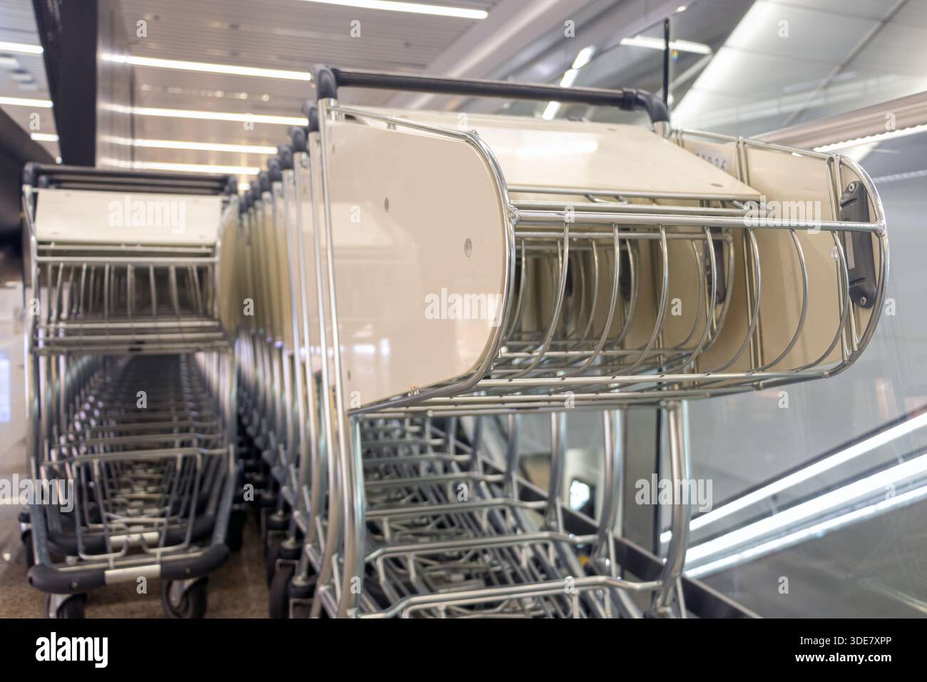 A row of metal luggage carts sits along a transparent railing in an ...