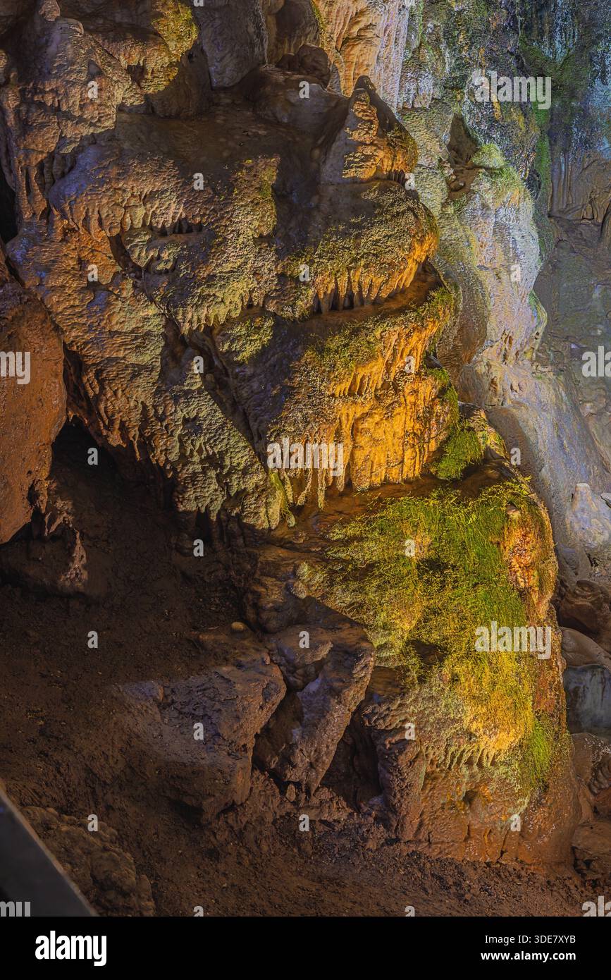 Giant stalactite partially covered with algae and lichen in the Bear ...