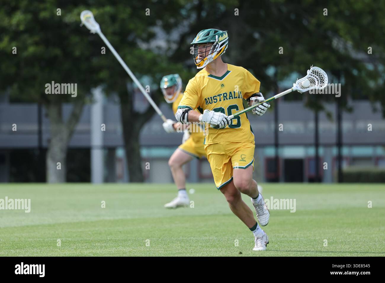 Jordan Gillespie (26, Australia) posied to pass. Australia v New ...