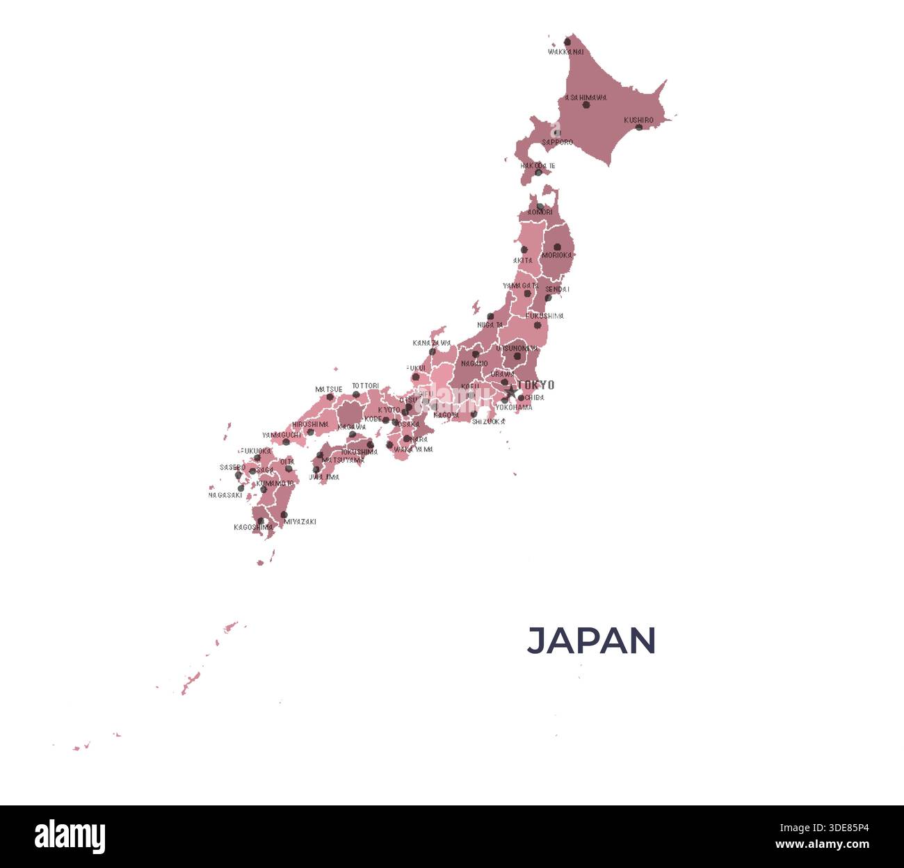 Map of JAPAN with Regions Borders and Famous Cities Stock Vector Image ...