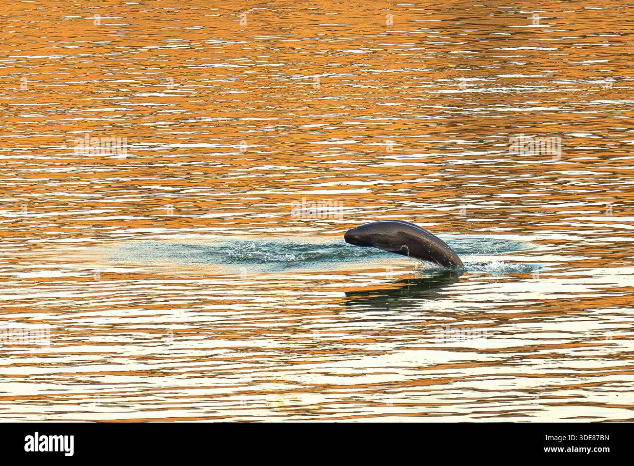 (260106) -- BEIJING, Jan. 6, 2026 (Xinhua) -- This photo taken on Jan ...