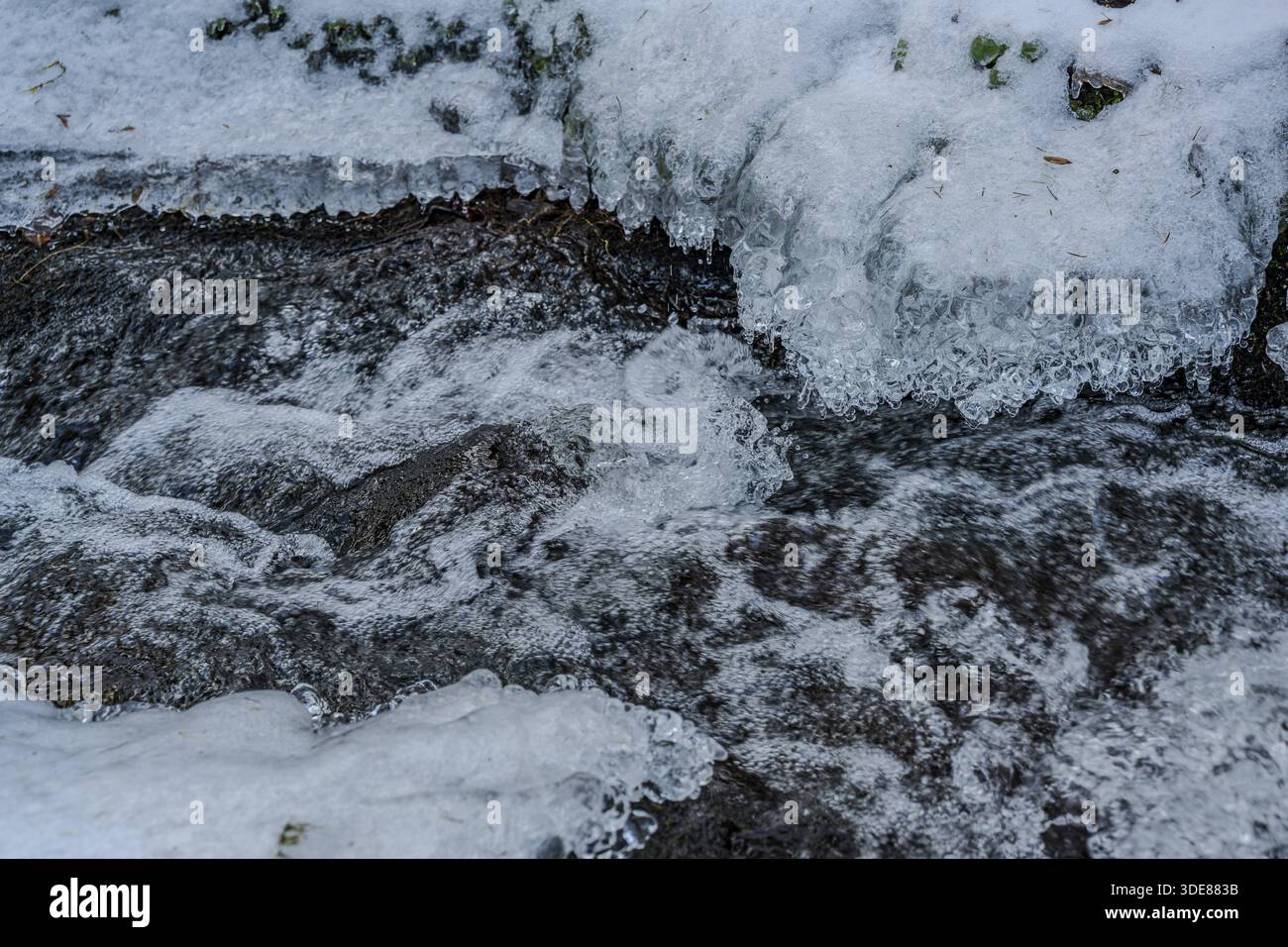 The water ripples under a layer of ice and snow in a forest. The ...