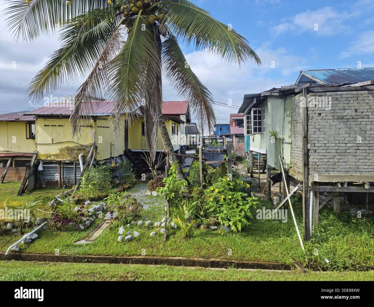 Typical Houses in Kuching, Sarawak, Borneo Island, Malaysia. Typische ...