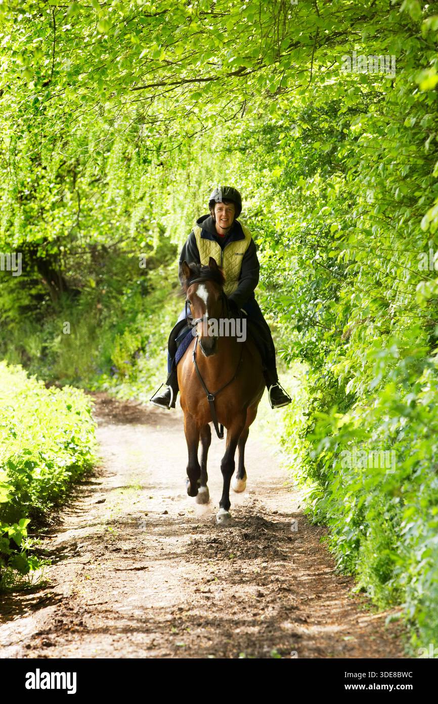 Lady riding young pony on country bridleway in Devon. Barefoot pony ...