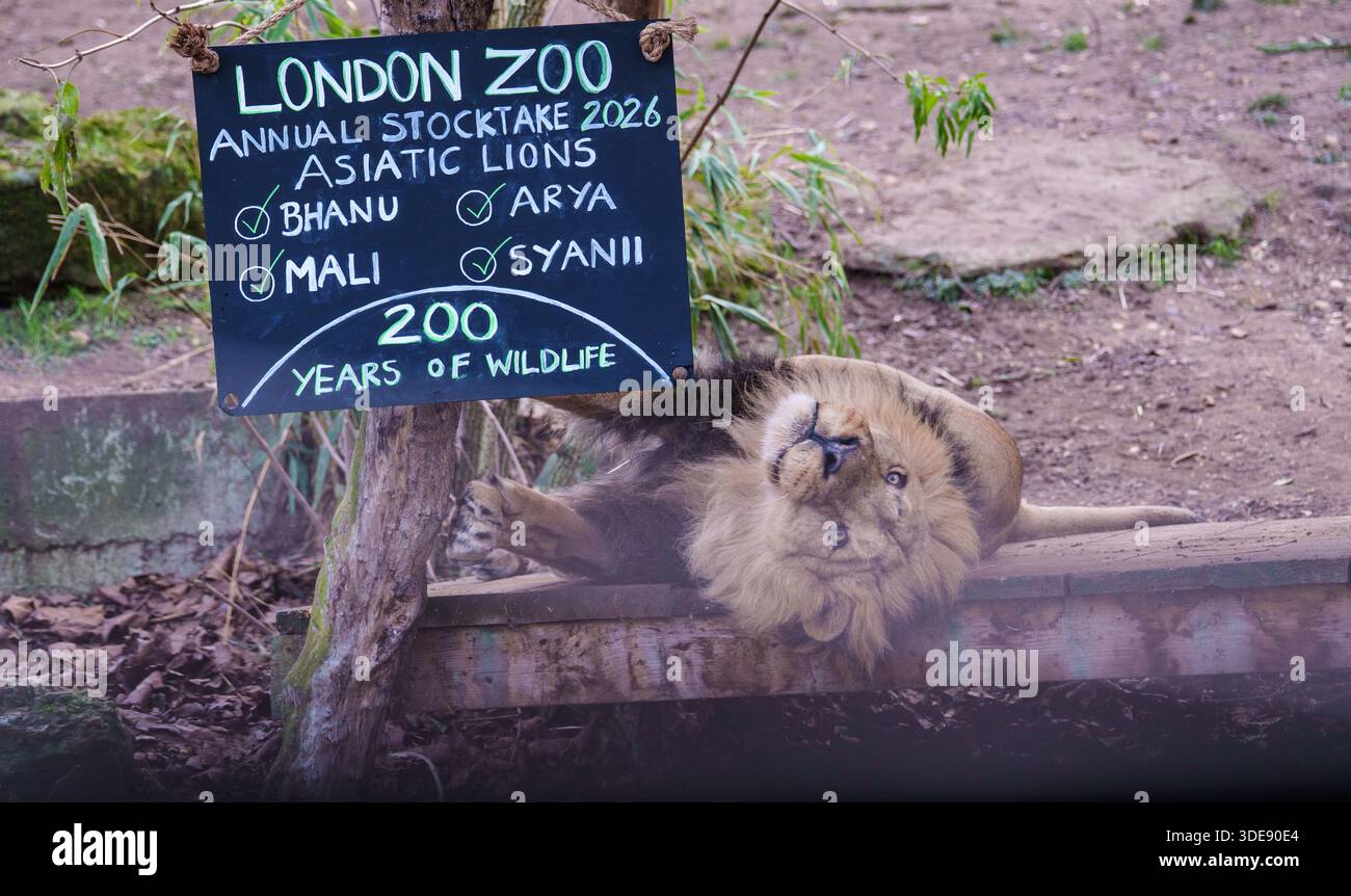 London Zoo, January 6th 2026. Zookeepers begin the charity’s 200th year ...