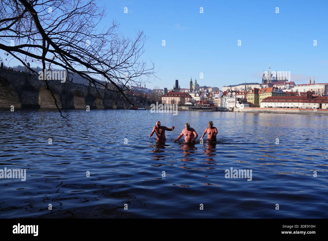 Polar swimmers take part in their traditional Three Kings swim in the ...