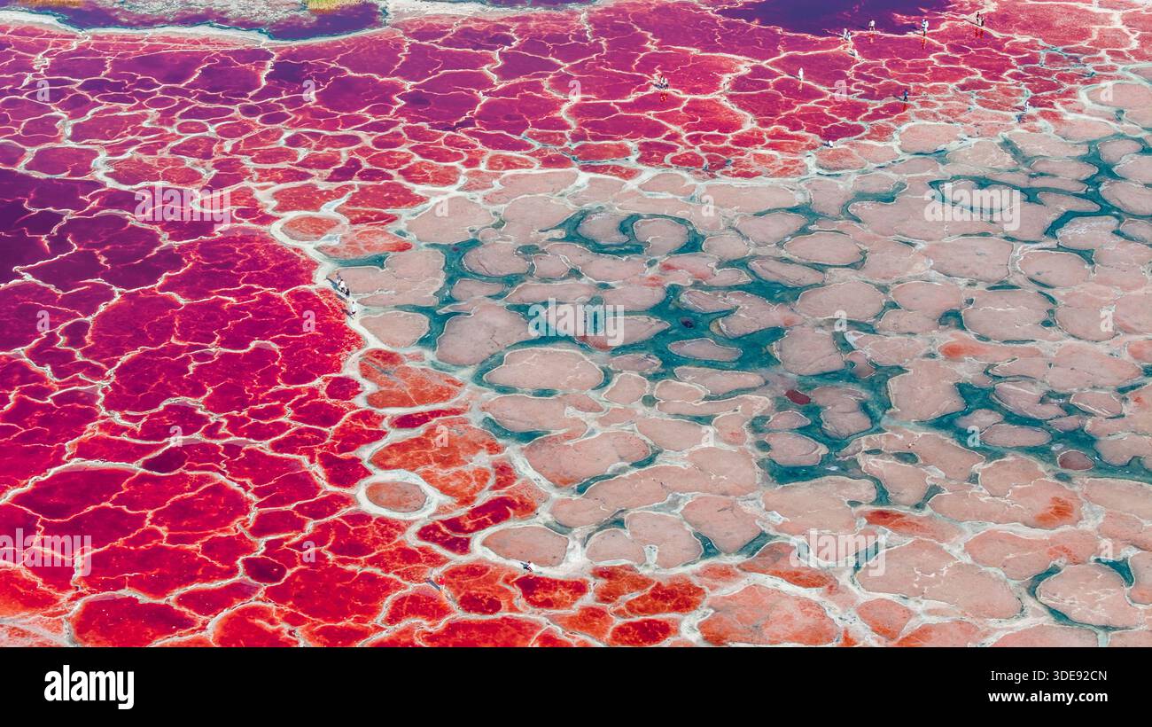 Colorful hypersaline ponds formed in the Tengger Desert, China, created ...