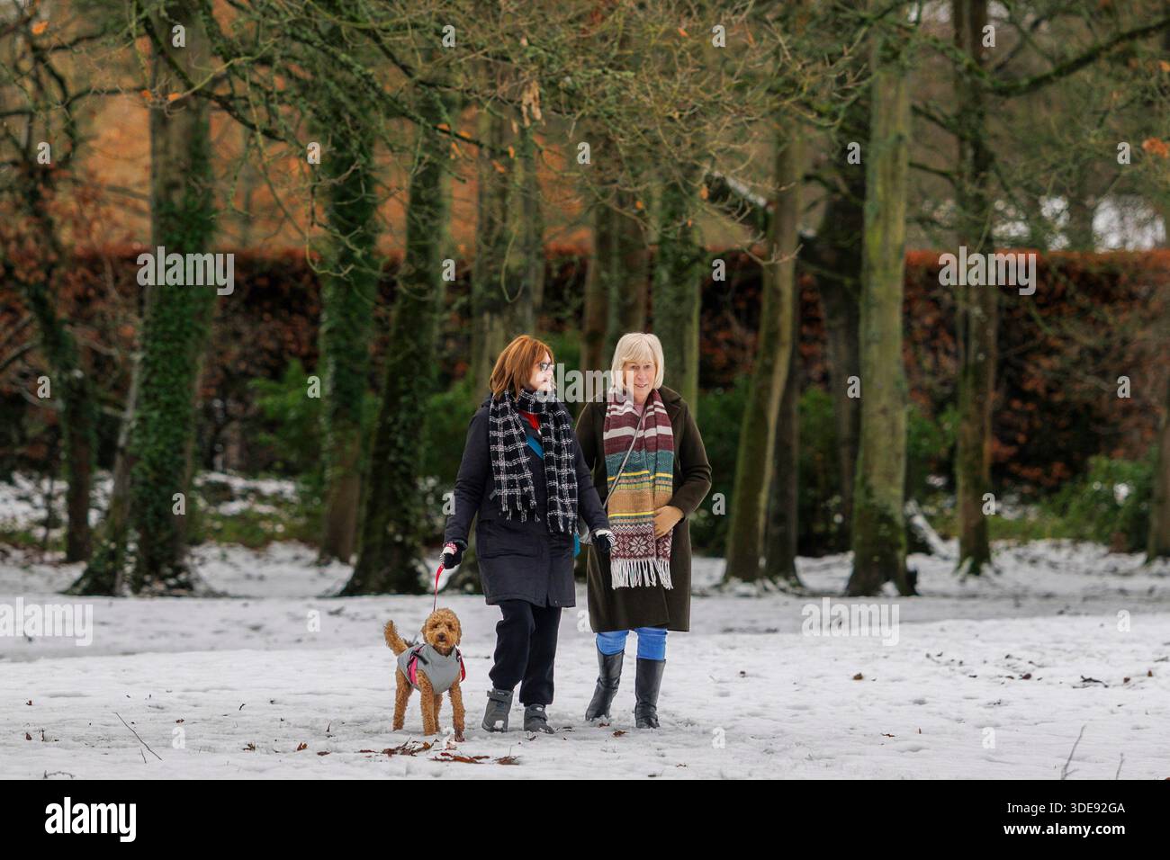 Anne-Marie McKinney (left) with her dog Holly and friend Brigid Kyle ...