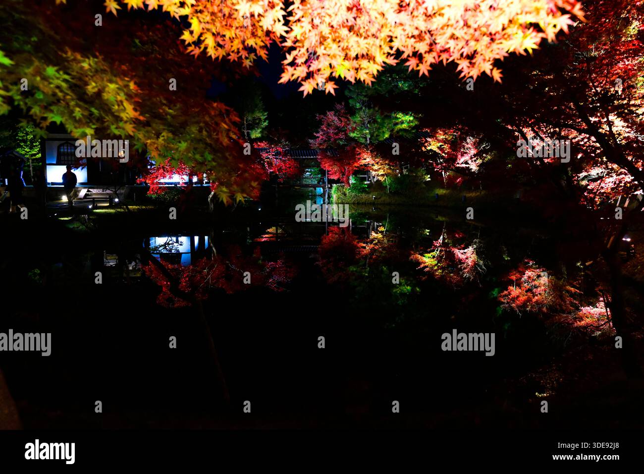 The Hashin-tei garden at Kodaiji temple during a projection mapping ...