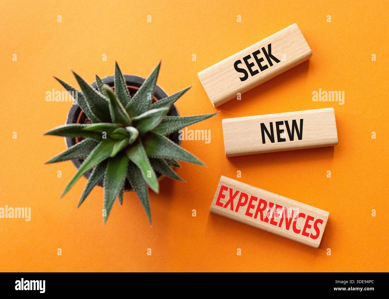 New Experiences symbol. Wooden blocks with words Seek New Experiences ...