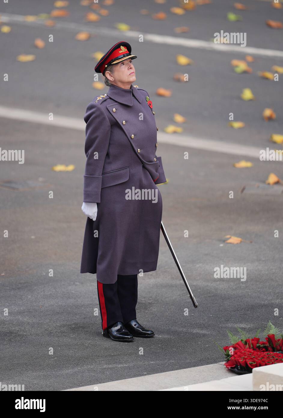 A wreath is laid on behalf of The Princess Royal by Lieutenant Colonel ...