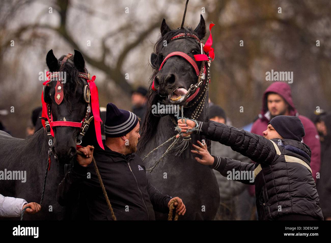Villagers try to calm a horse during Epiphany celebrations in the ...