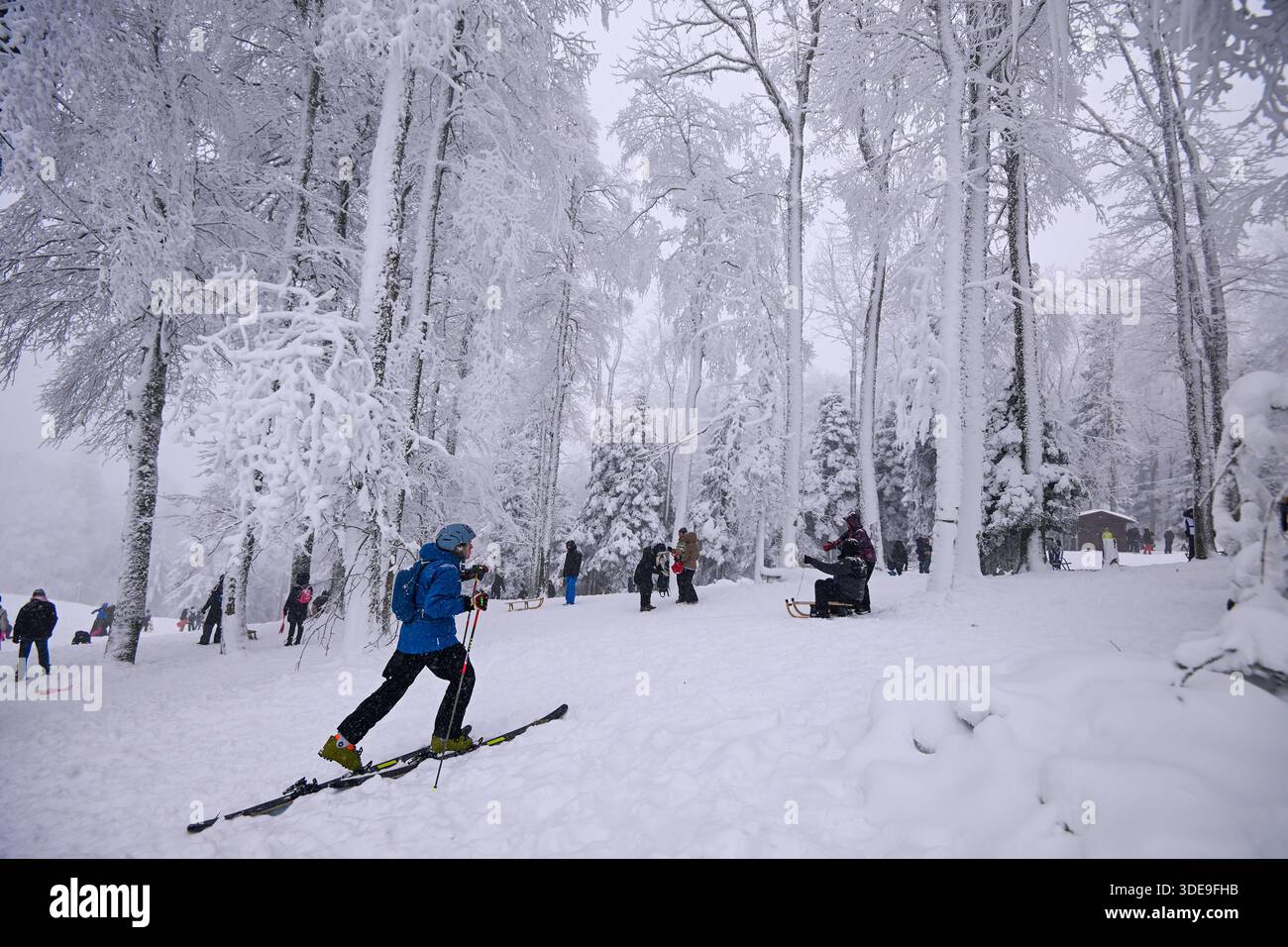 People enjoy winter weather and snow at Medvednica mountain in Zagreb ...