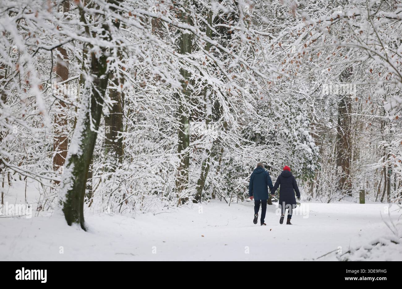 06 January 2026, Hamburg: Two people walking hand in hand on a path ...
