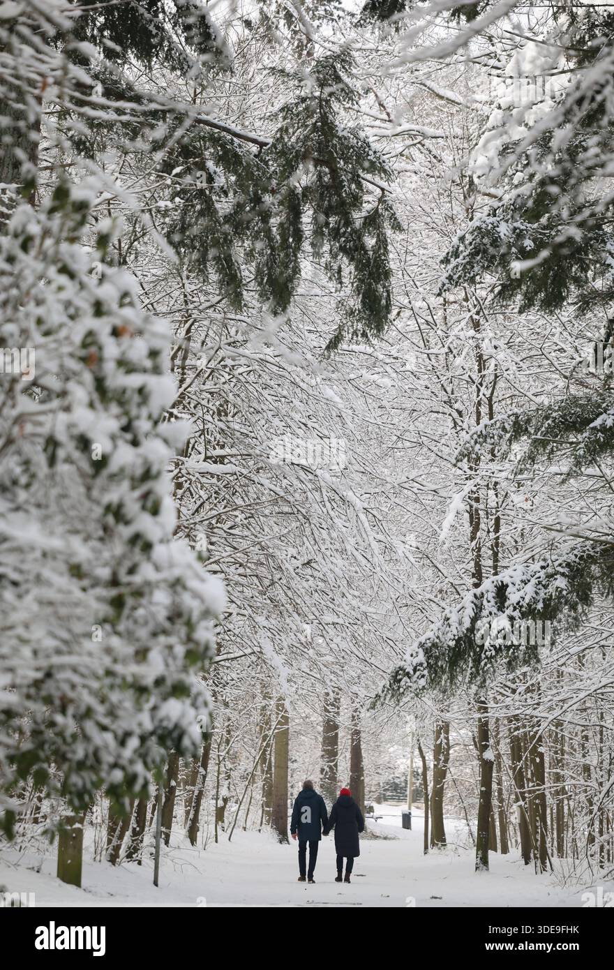 06 January 2026, Hamburg: Two people walking hand in hand on a path ...