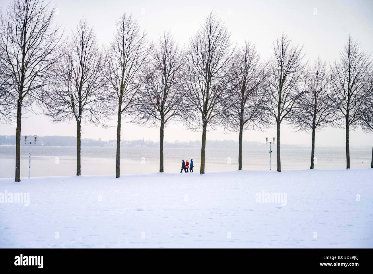 People walk along the Baltic Sea shore covered in a thick blanket of ...