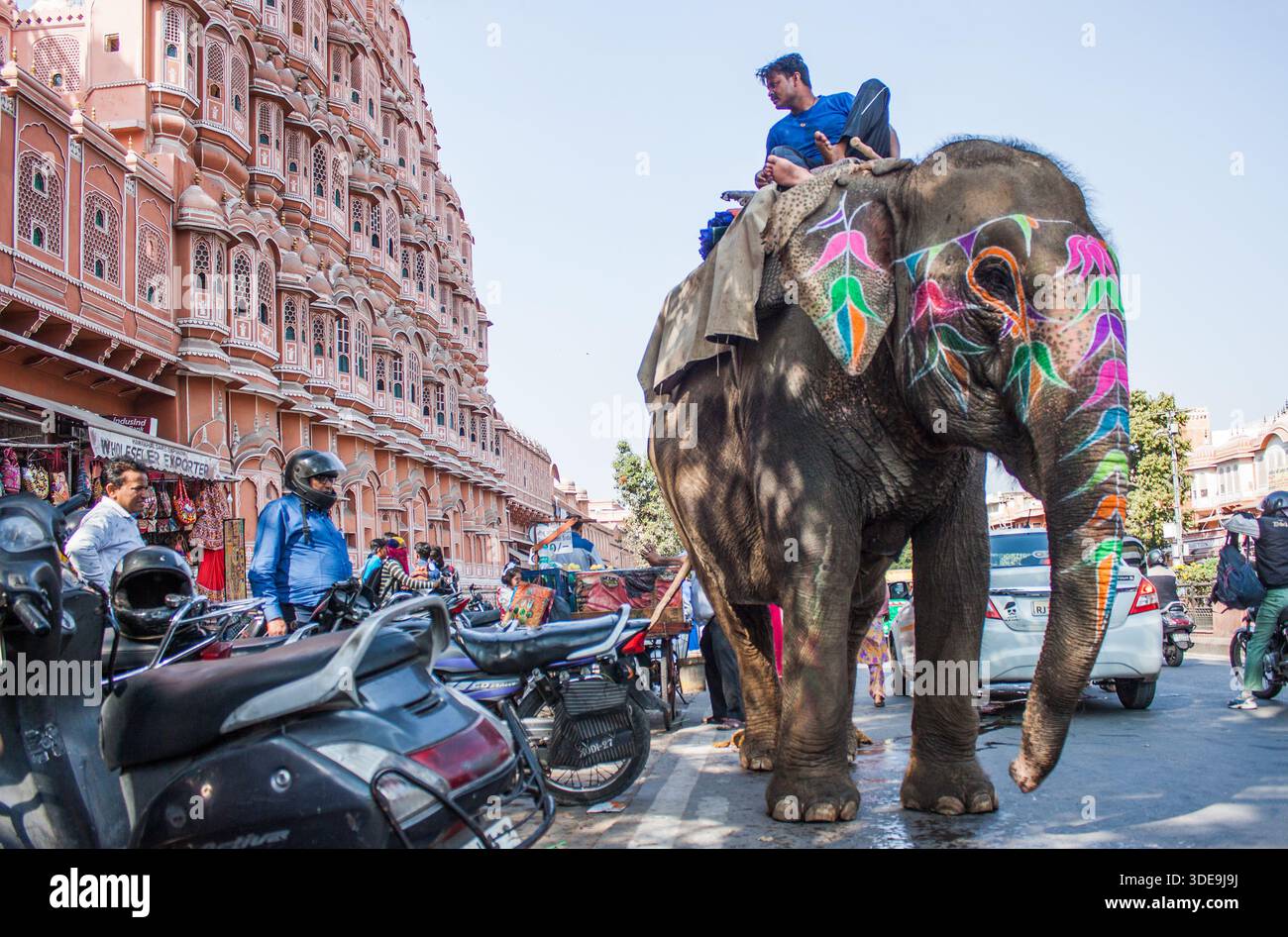 Painted elephant outside the Hawa Mahal Palace,an architectural marvel ...