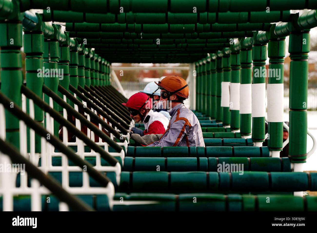 Jockeys in the stalls ahead of the Read Meg Nicholls' Blog At betmgm.co ...