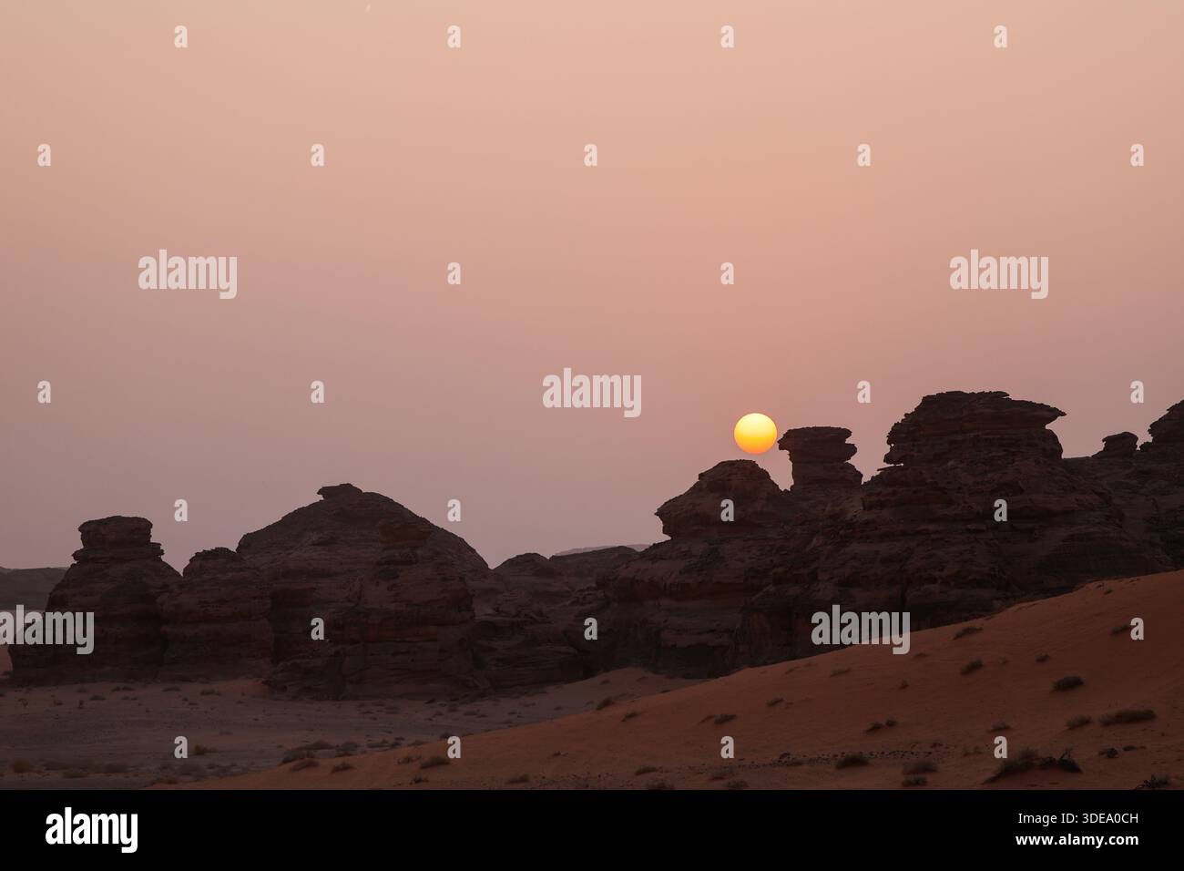 sunrise, landscape, paysage during the Stage 3 of the Dakar 2026, on ...