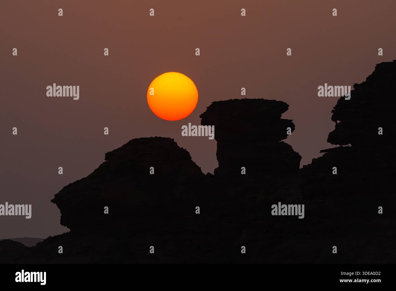 sunrise, landscape, paysage during the Stage 3 of the Dakar 2026, on ...
