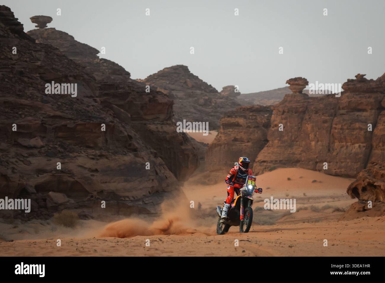 01 SANDERS Daniel (aus), Red Bull KTM Factory Racing, KTM, Rally GP ...