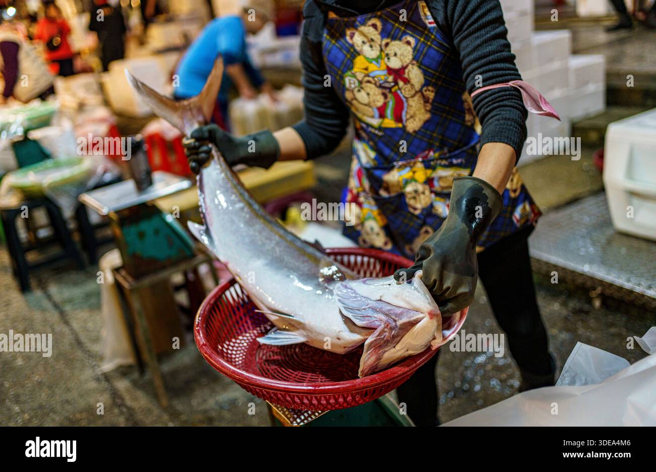 27 November 2024, Taiwan, Keelung: Fresh fish is offered at the ...