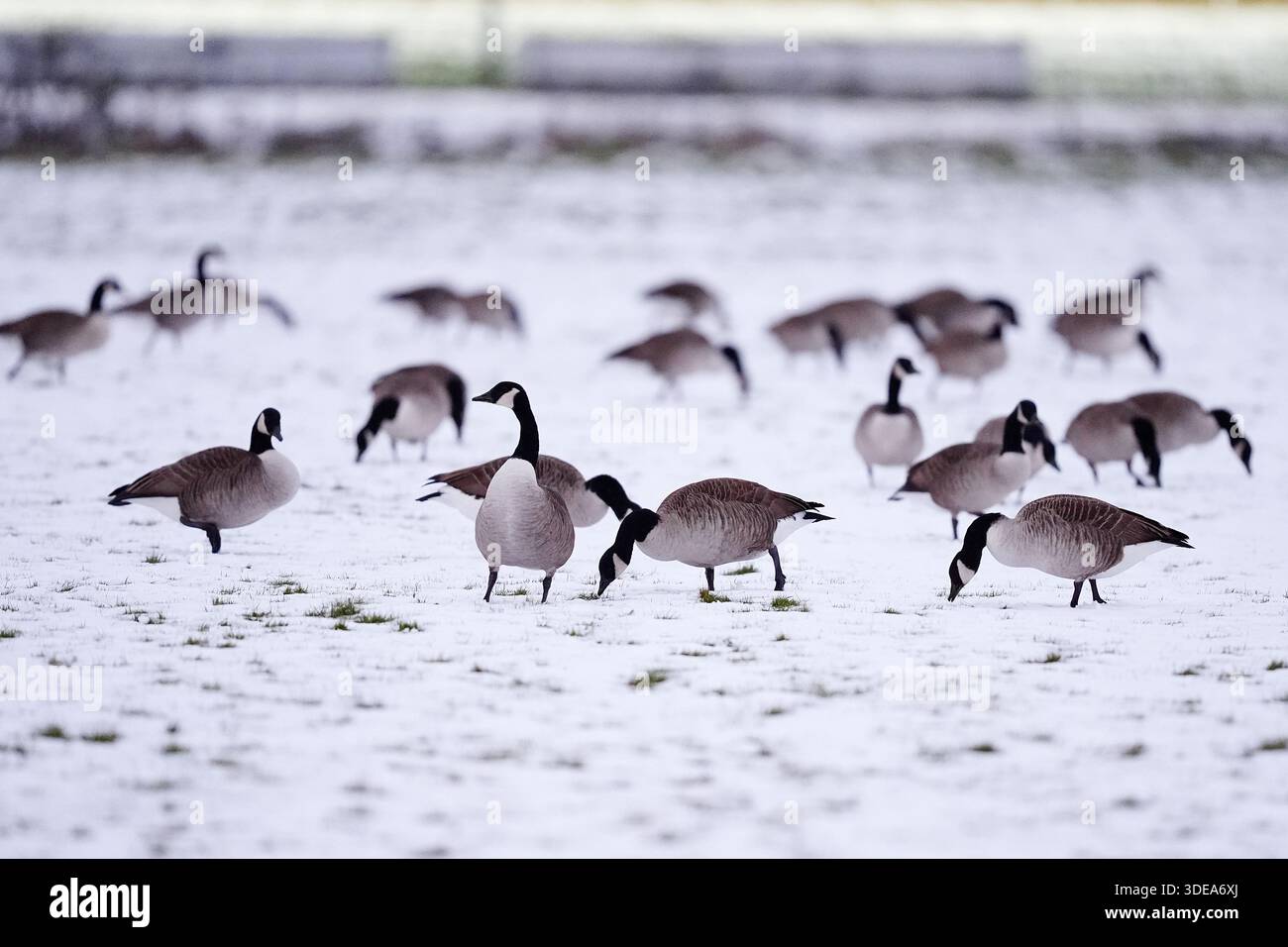 Tuesday 6th january 2026 hi-res stock photography and images - Alamy