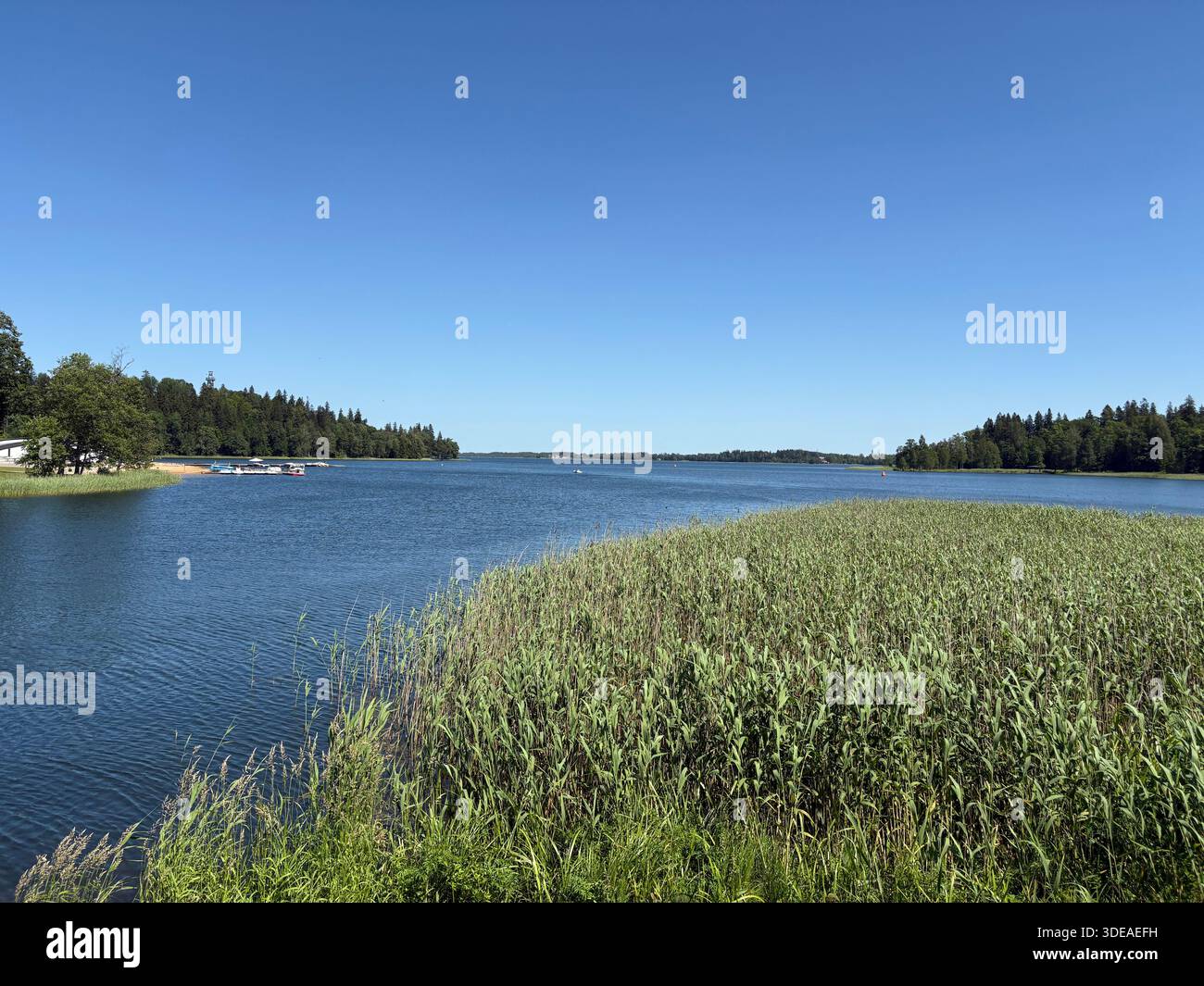 Sunny lakeshore view smartphone stock photos and images - Alamy
