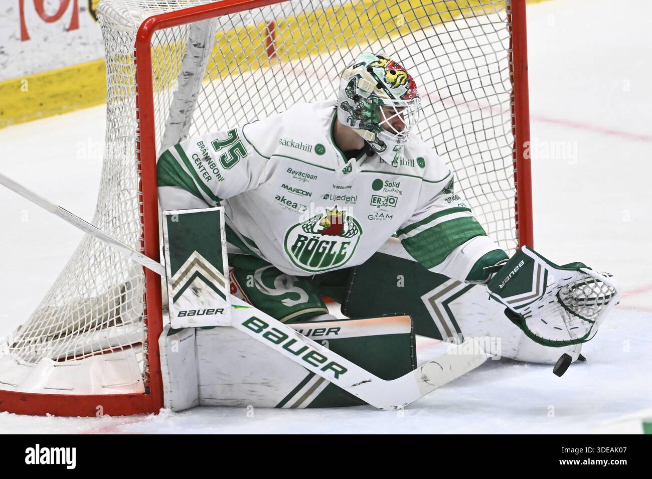 STOCKHOLM, SWEDEN 20260106Rögle's goalie Arvid Holm during Tuesday's ...
