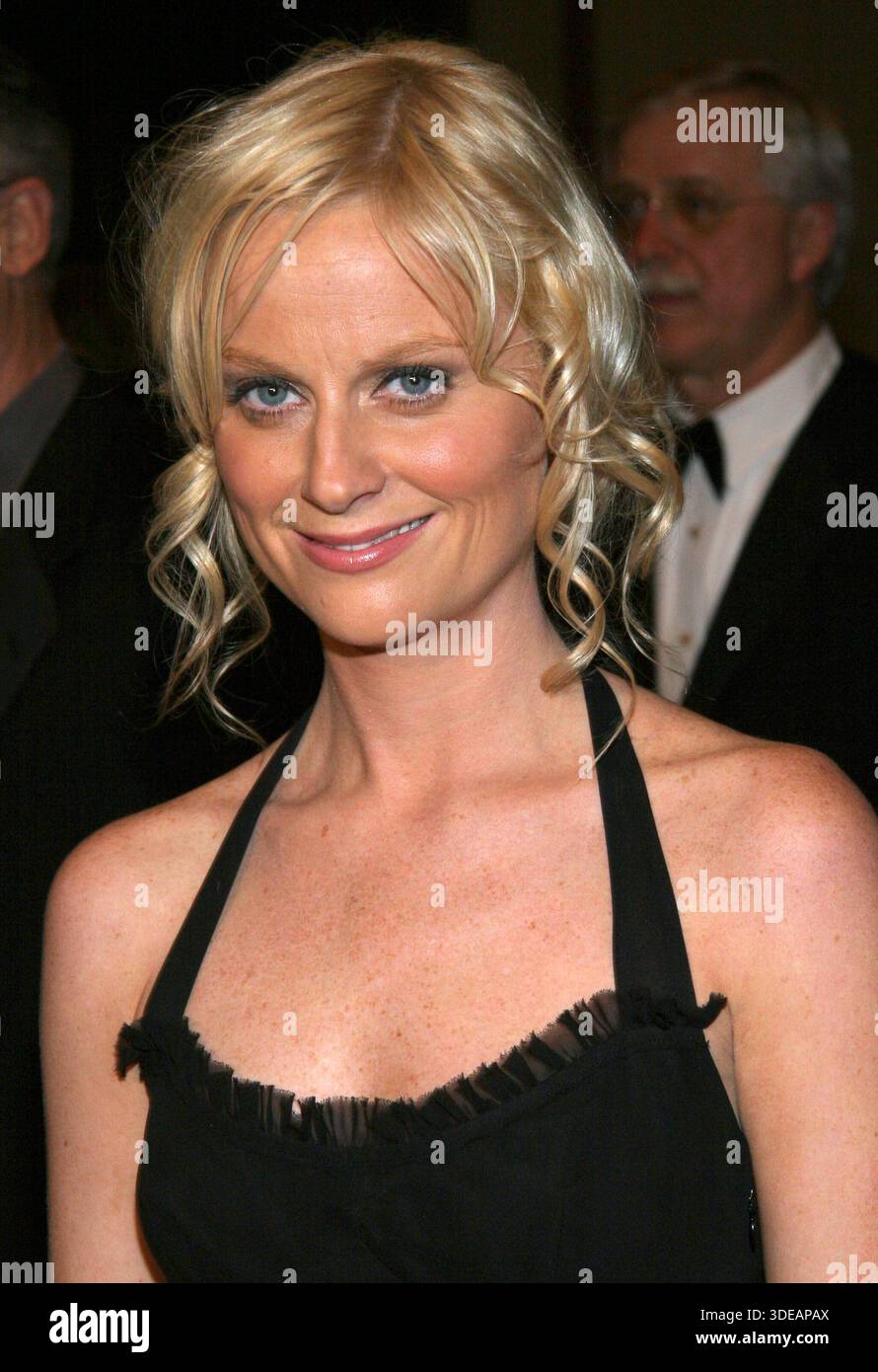 16 November 2005 - New York, NY - Amy Poehler at the American Museum of ...