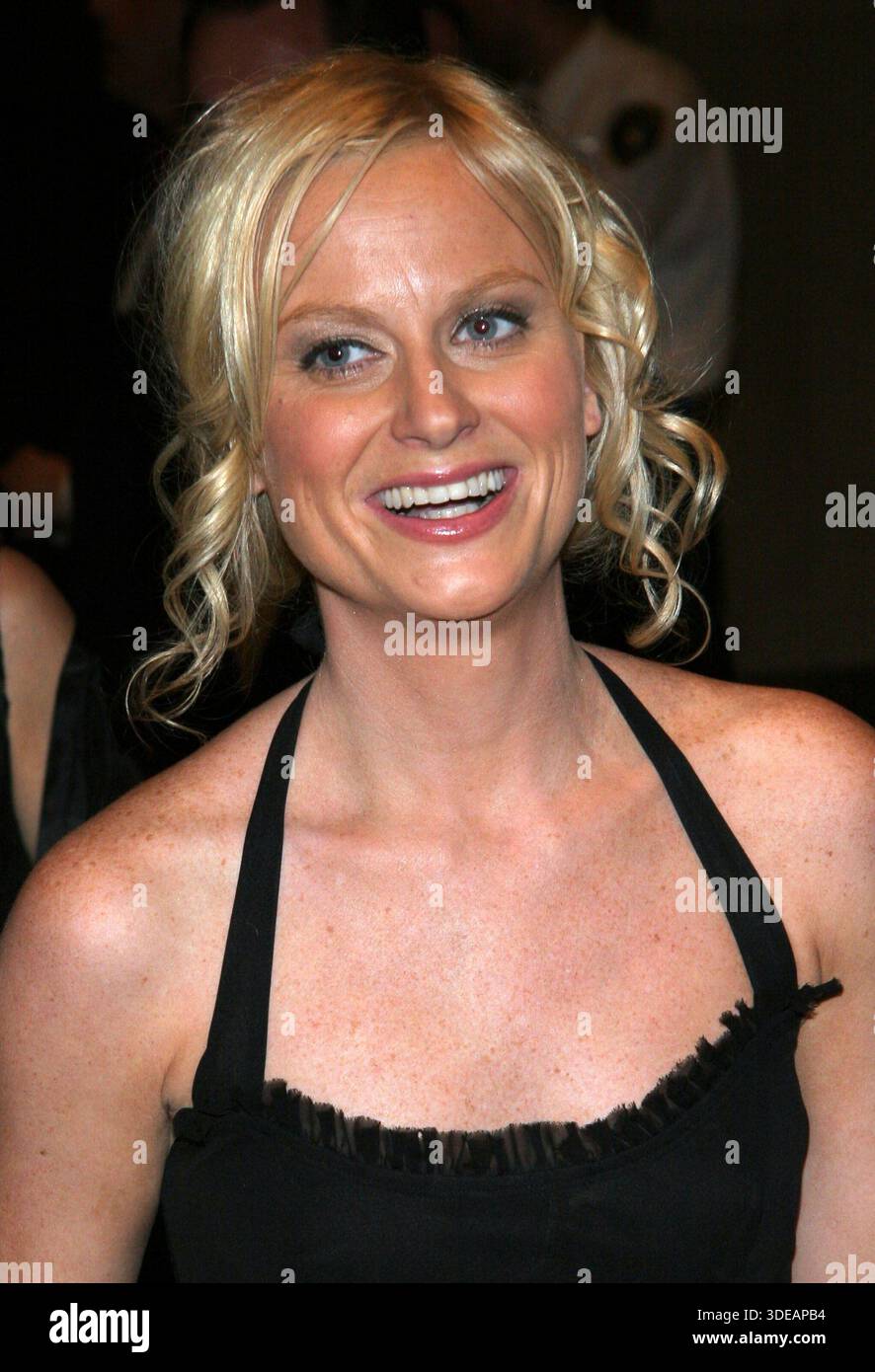 16 November 2005 - New York, NY - Amy Poehler at the American Museum of ...
