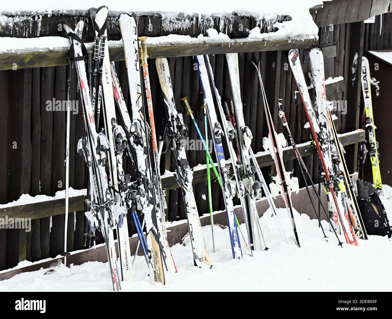 Skis pictured at the Club de Ski Alpin ski center in Ovifat, Waimes, in ...
