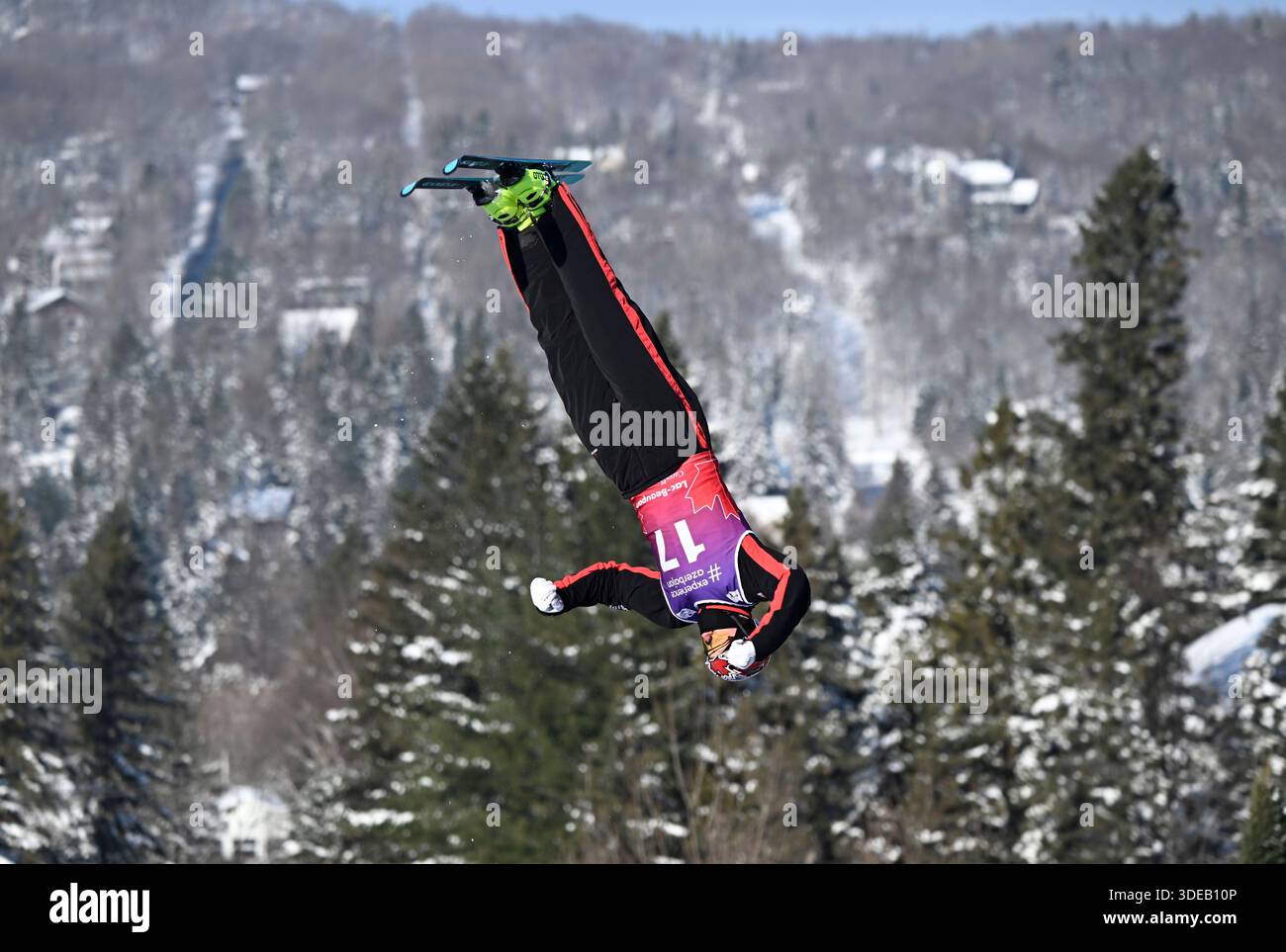 Team Canada Lewis Irving, of Levis, Que., competes on Tuesday, January ...