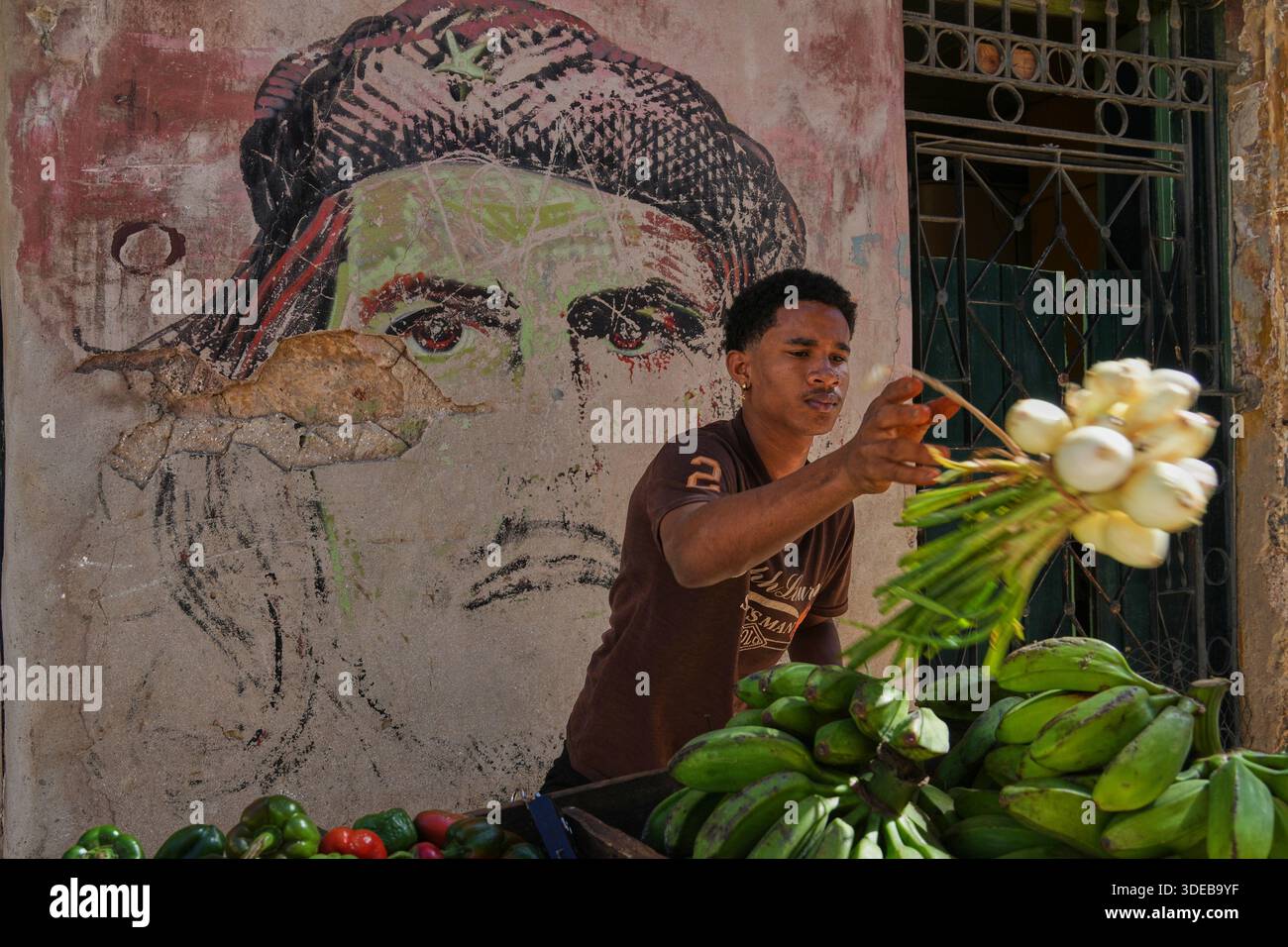 A vegetable vendor prepares onions for sale on his cart by an aged ...