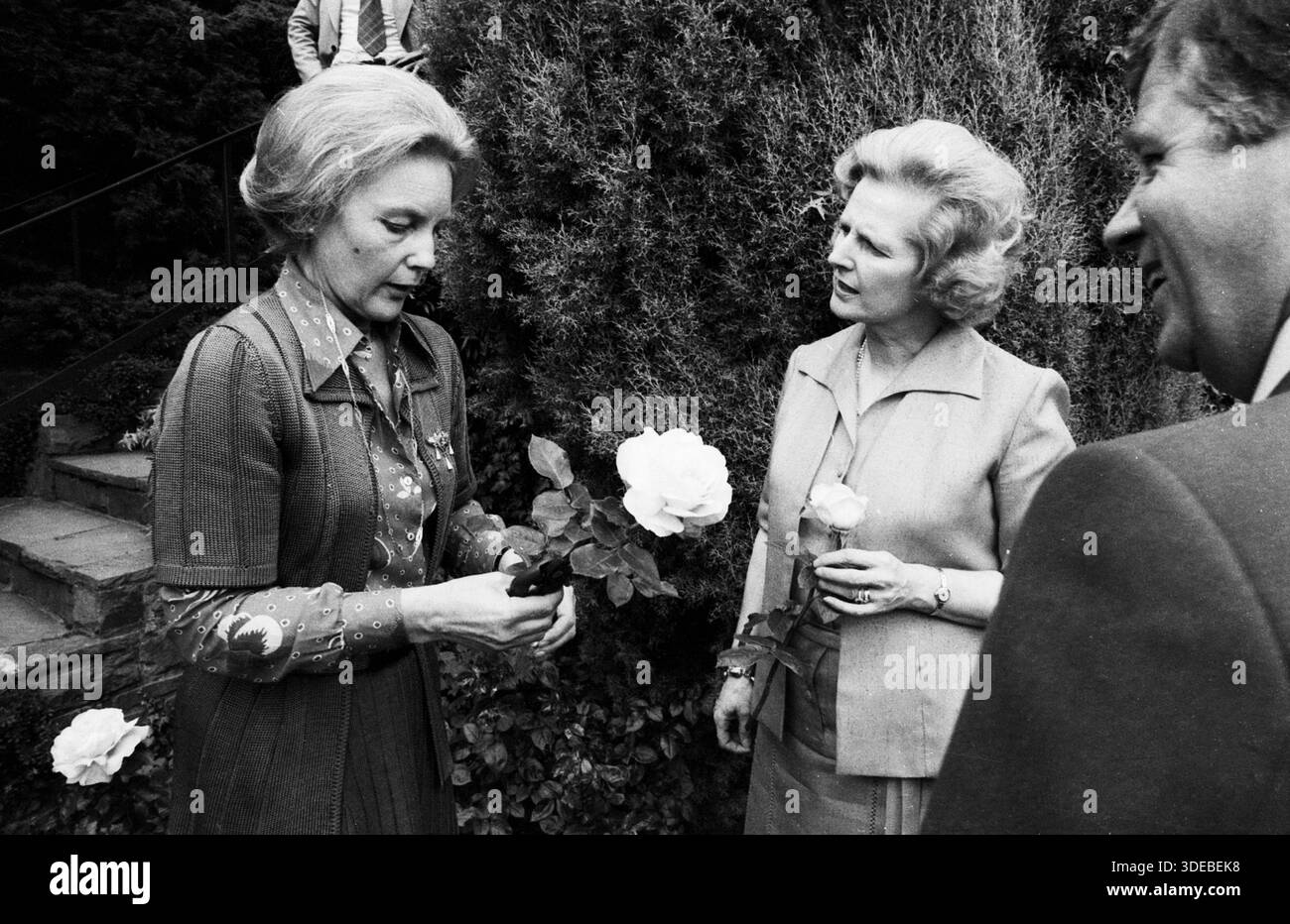 Eine rose Black and White Stock Photos & Images - Alamy