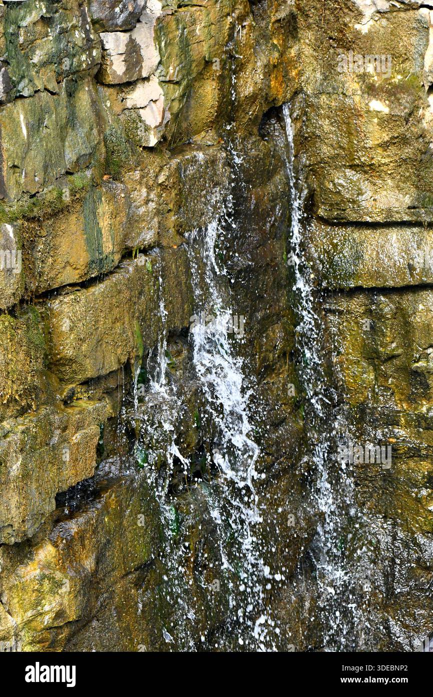 Stone dam, at Thomas Amis Historic Site, is the oldest stone dam in ...