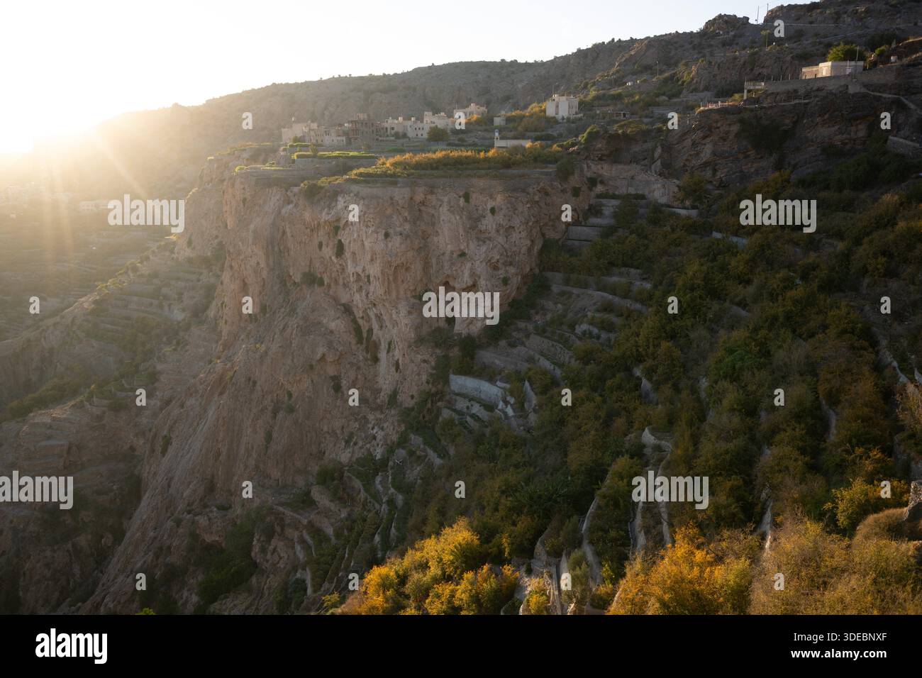 19 November 2025, Oman, Jebel Akhdar: The terraced gardens of Al Jabal ...