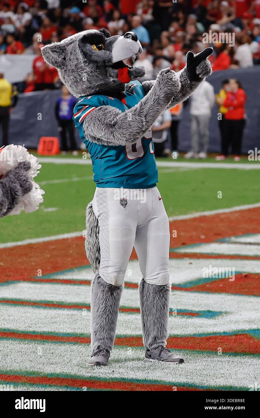 PHOENIX, AZ - DECEMBER 26: The New Mexico Lobos mascot cheers during ...