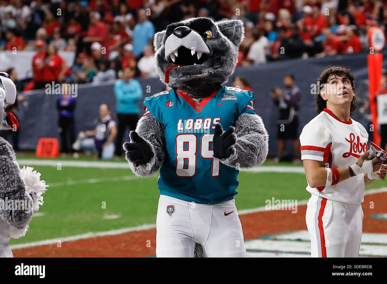 PHOENIX, AZ - DECEMBER 26: The New Mexico Lobos mascot cheers during ...