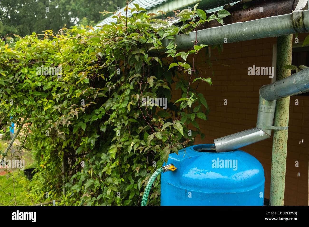 water collection tank under a roof with a drain. Rain water harvesting ...