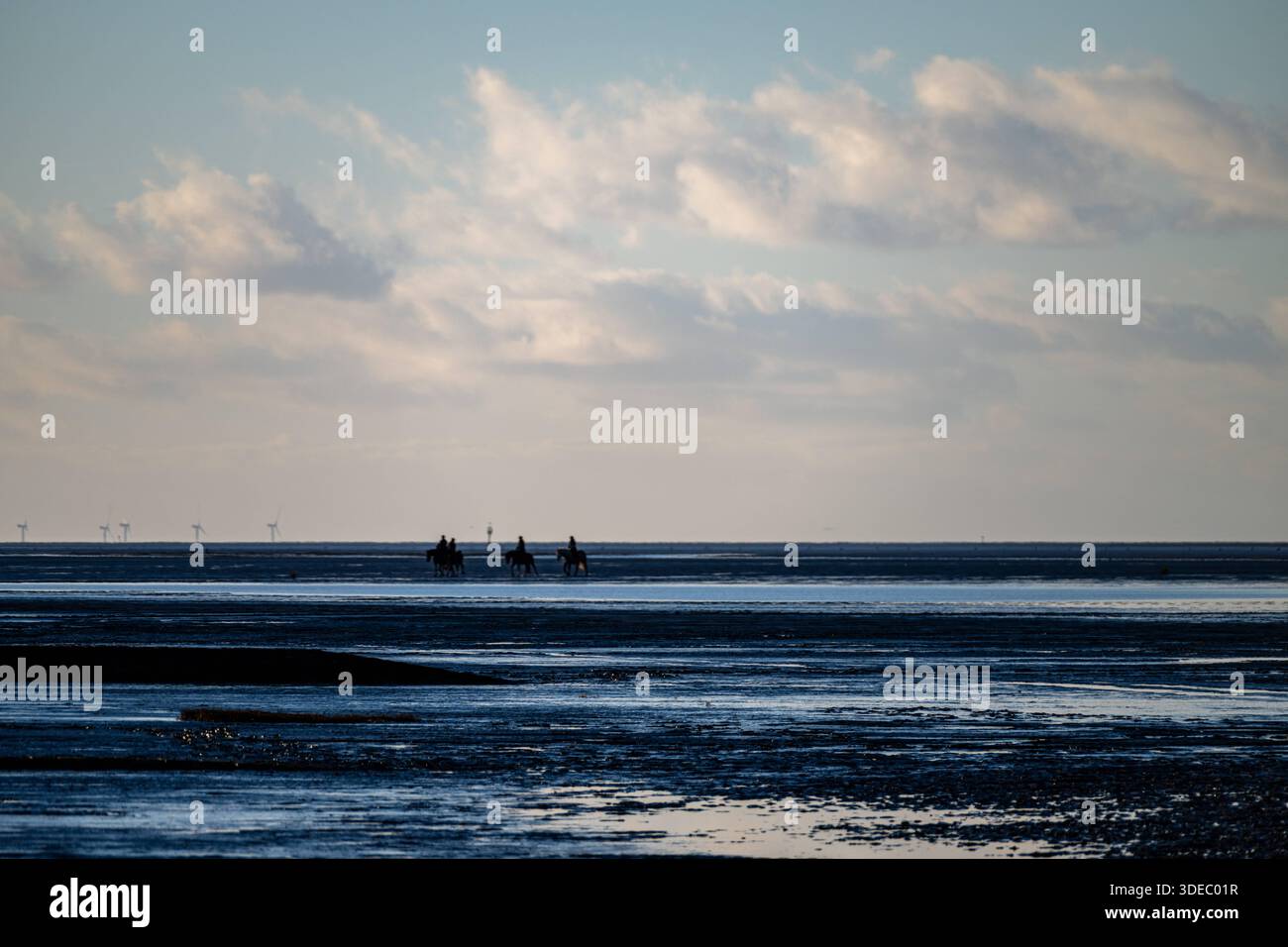 Auslfug an die Nordsee im Winter am Strand - Reise: Duhnen, am Meer ...