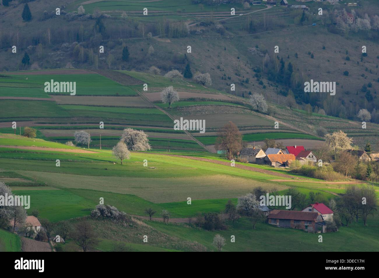 Rural settlement amid rolling hi-res stock photography and images - Alamy