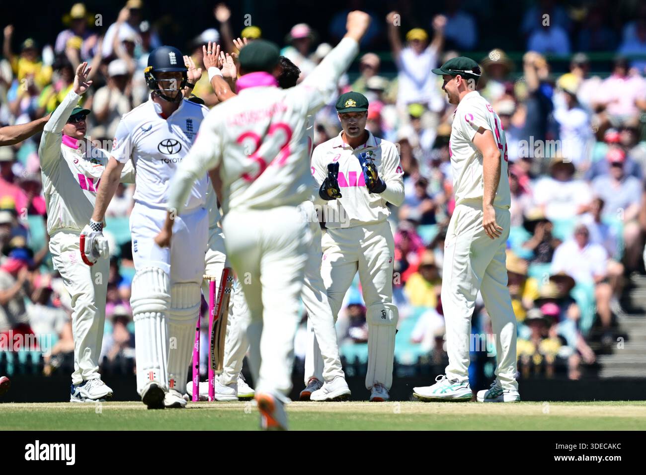 Australia celebrates the lbw wicket of Zak Crawley of England for 1 off ...