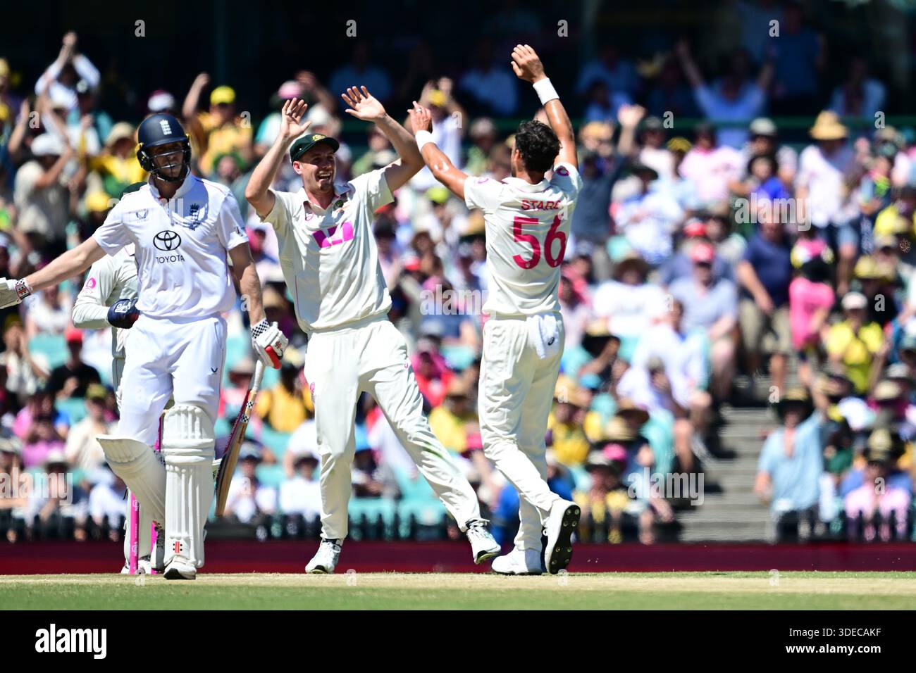Mitchell Starc of Australia celebrates the lbw wicket of Zak Crawley of ...