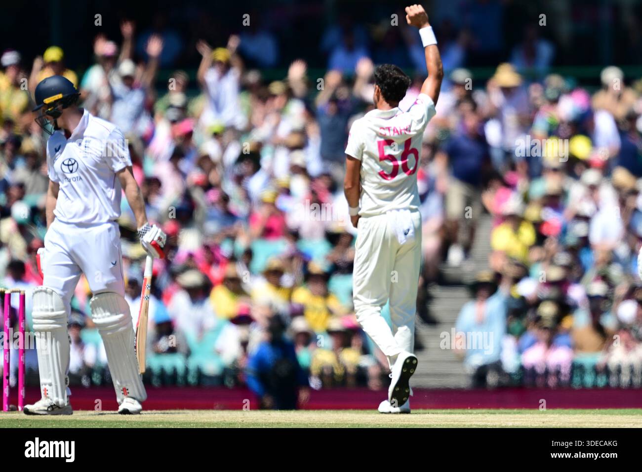 Mitchell Starc of Australia celebrates the lbw wicket of Zak Crawley of ...