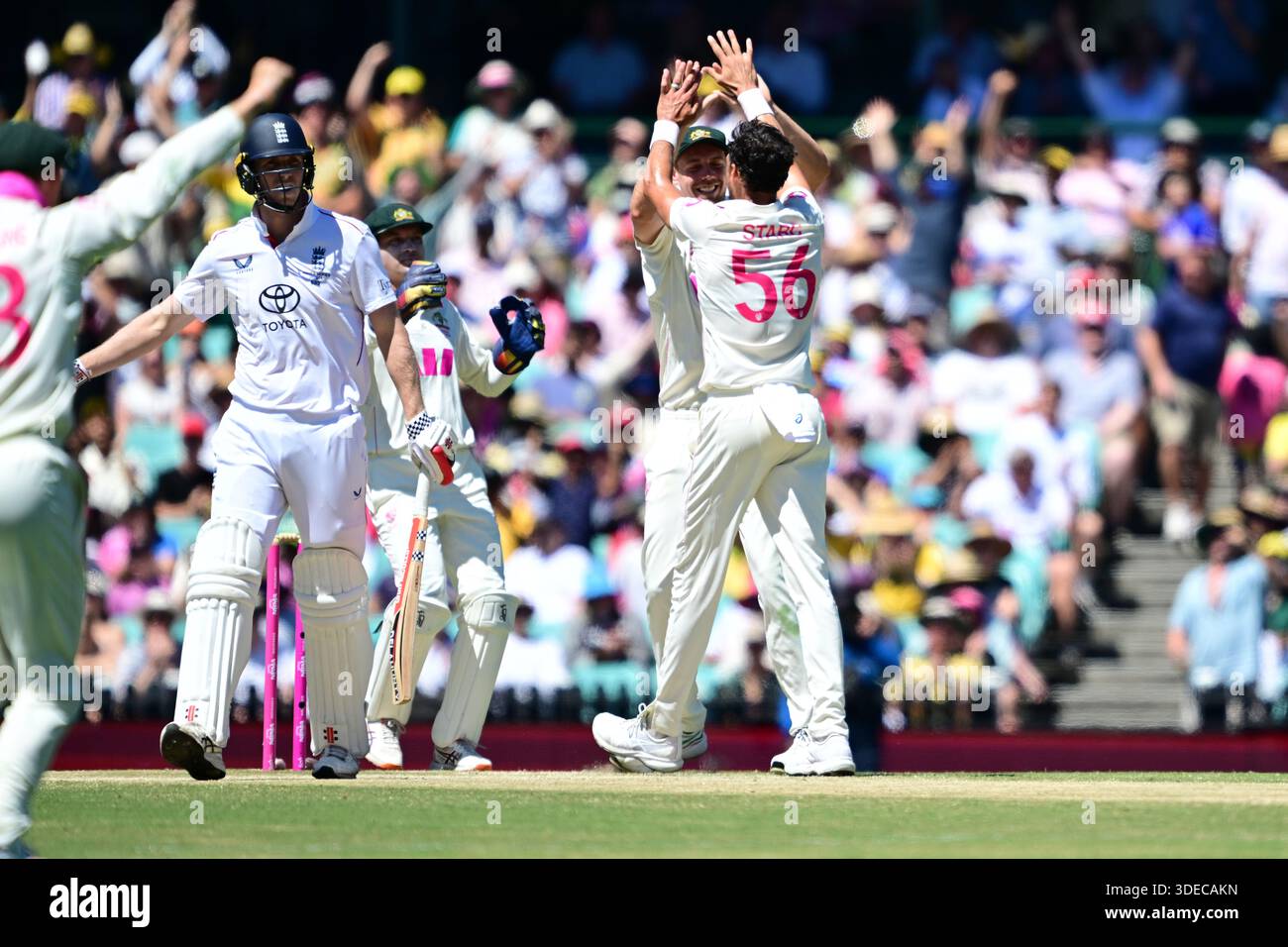 Australia celebrates the lbw wicket of Zak Crawley of England for 1 off ...