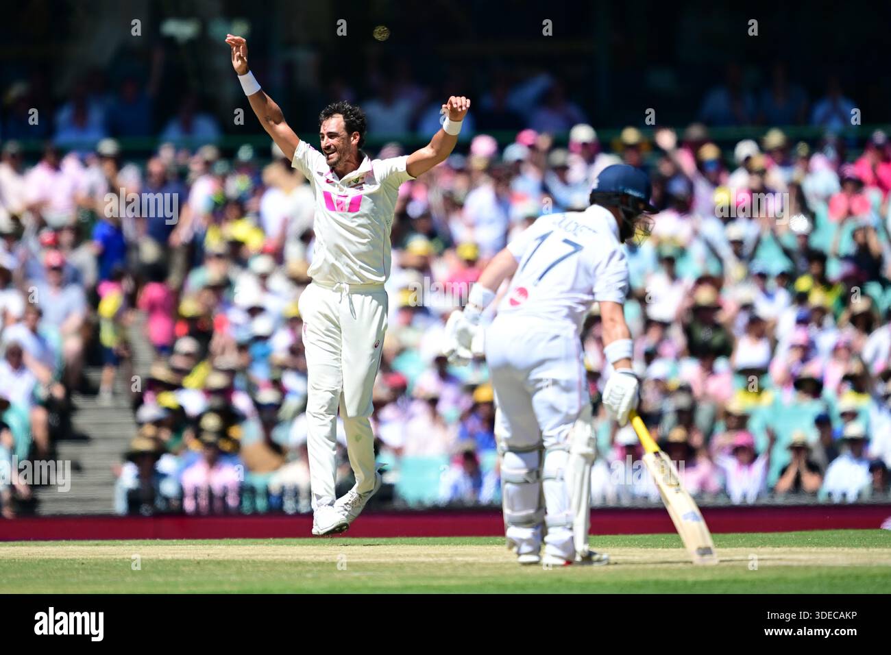 Mitchell Starc of Australia celebrates the lbw wicket of Zak Crawley of ...